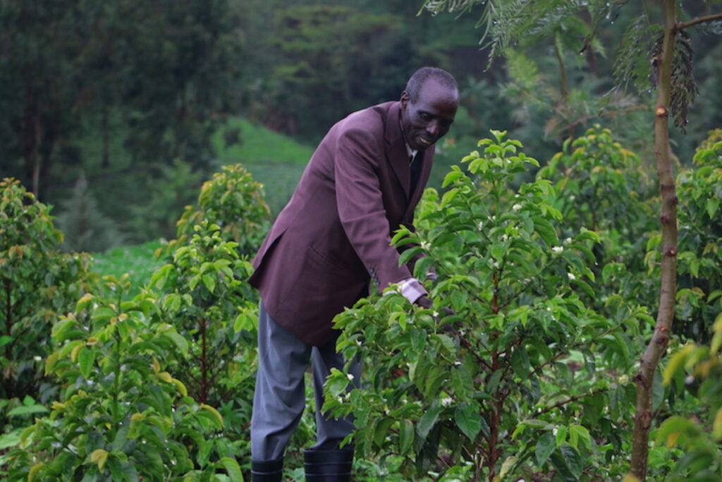 Empowering Farmers and Conserving Biodiversity – kuwi.org.uk