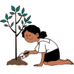 Msasa – kuwi.org.uk